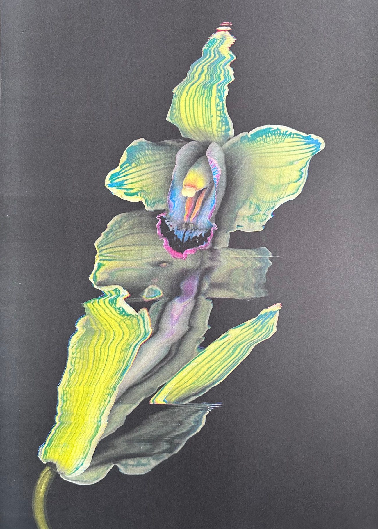 Eric W Mast - Flower screen print | Dreem Street