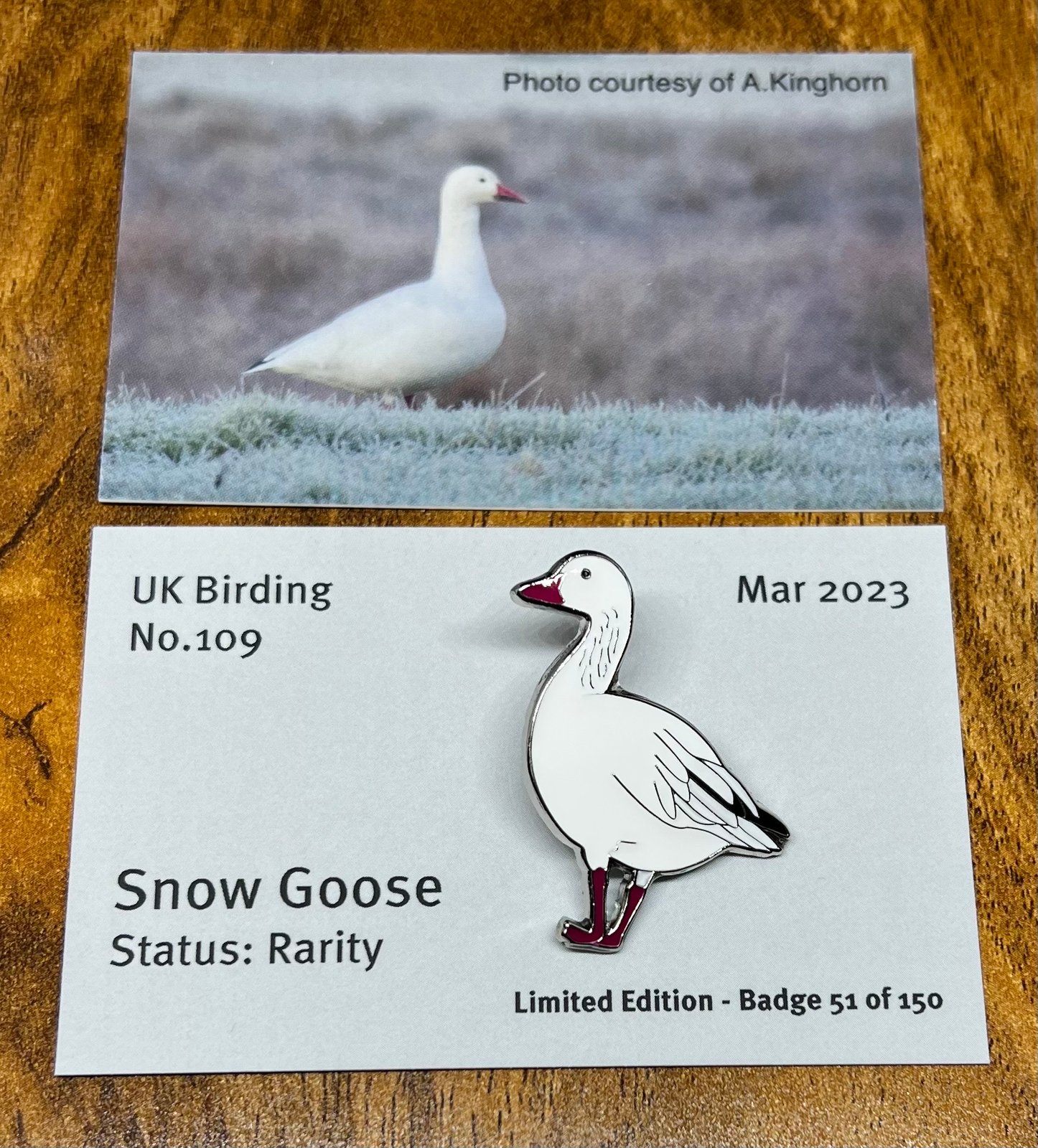 Snow Goose - No.109 - UK Birding Pins - Enamel Pin Badge | UK Birding Pins