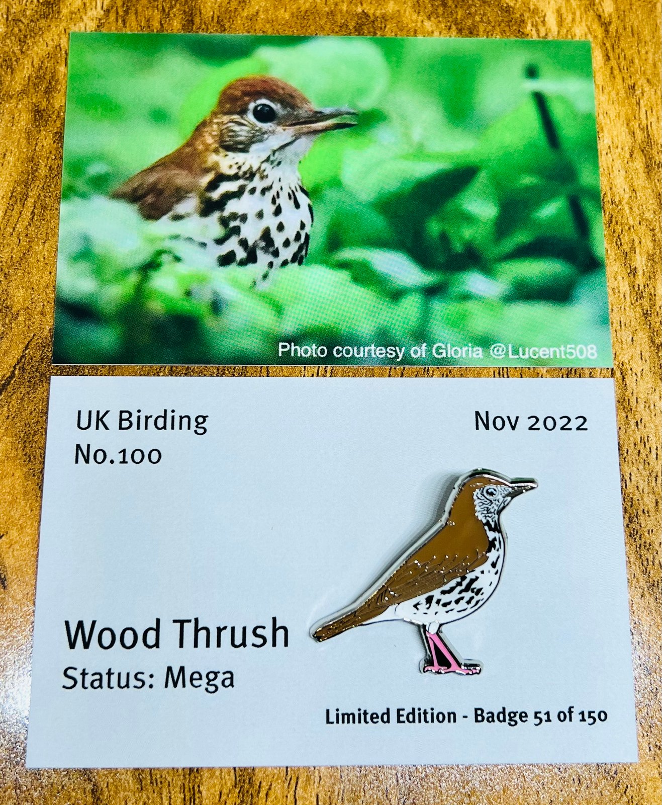 Wood Thrush - No.100 - UK Birding Pins - Enamel Pin Badge | UK Birding Pins