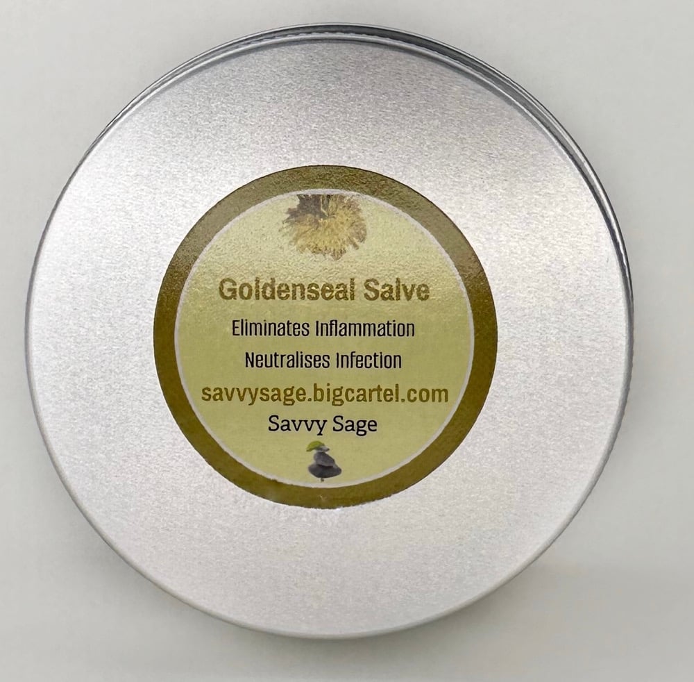 Goldenseal Salve | Savvy Sage