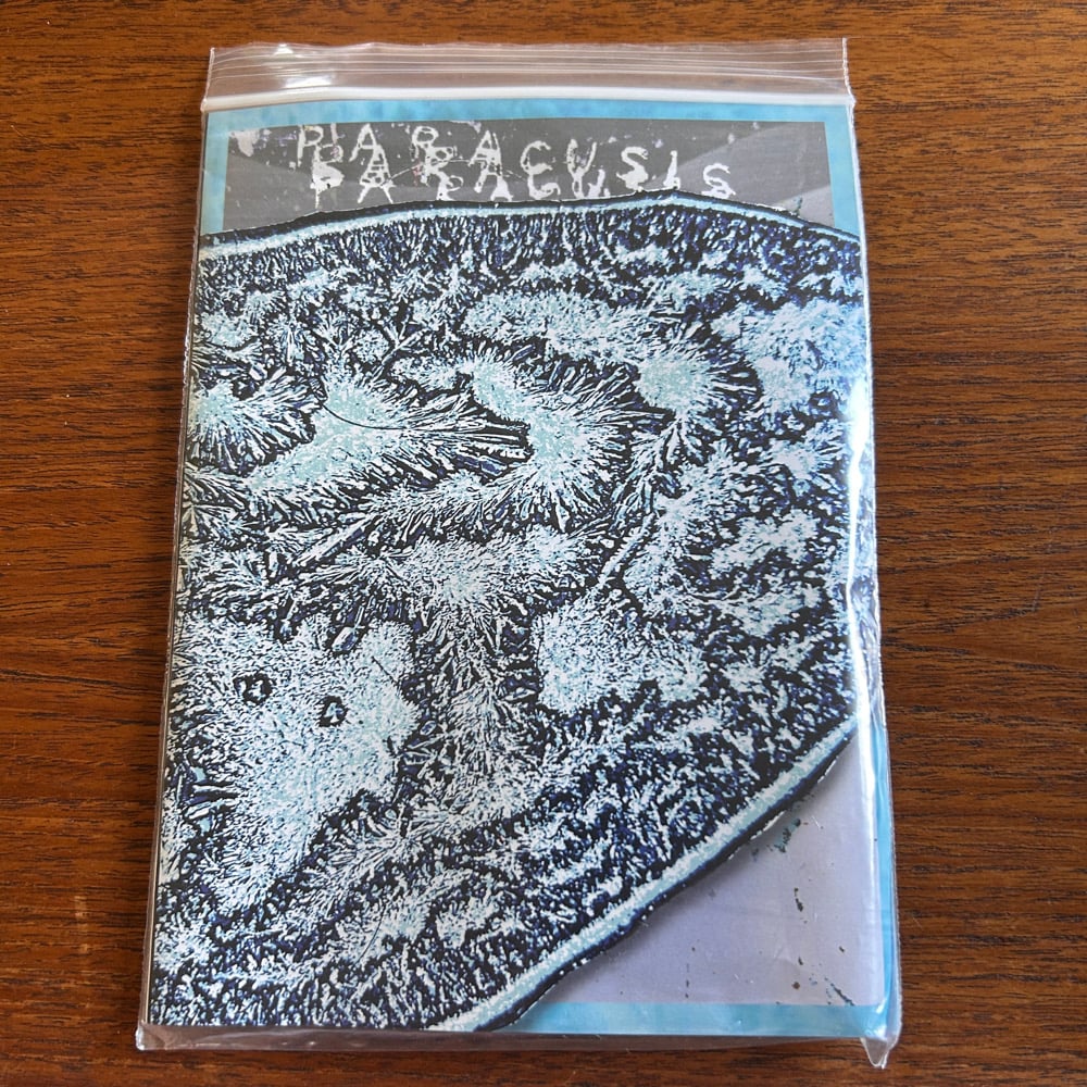 Paracusis/P. Peltier Split | bent window records