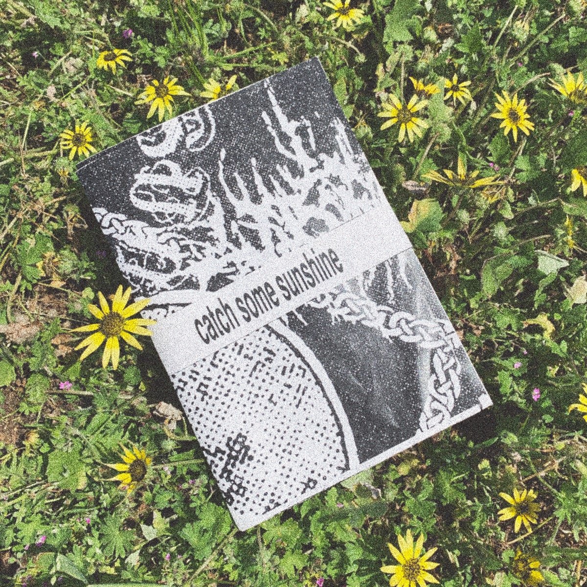 Volume One Zine | Catch some sunshine