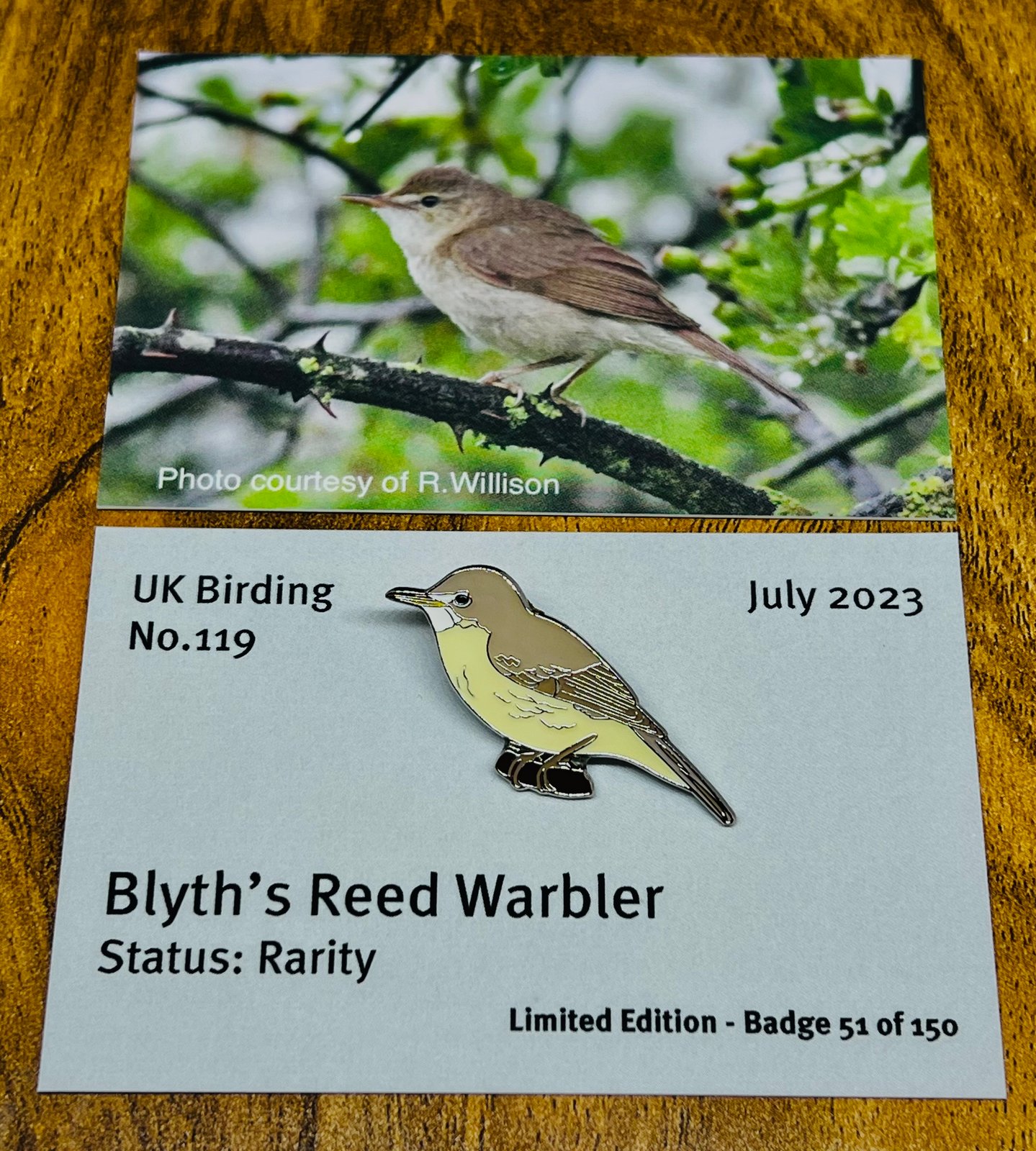 Blyth's Reed Warbler - No.119 - UK Birding Pins - Enamel Pin Badge | UK ...