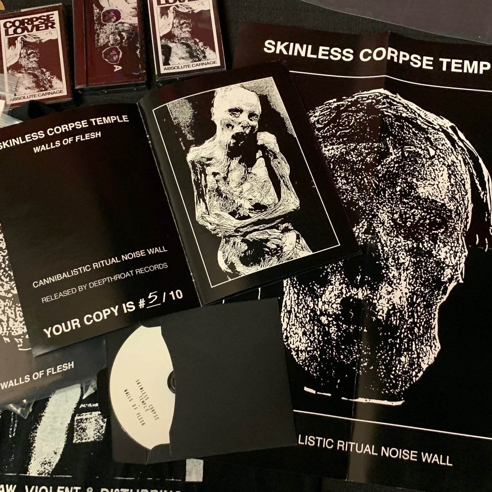 SKINLESS CORPSE TEMPEL - WALLS OF FLESH (CDr) | DEEPTHROAT RECORDS