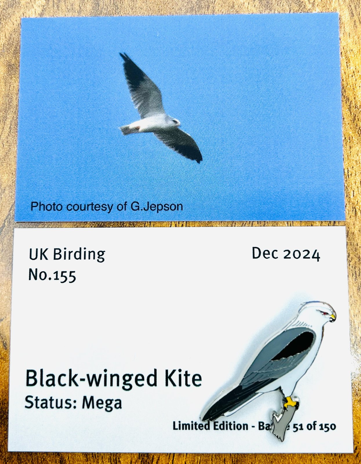 Black-winged Kite - No.155 - UK Birding Pins | UK Birding Pins