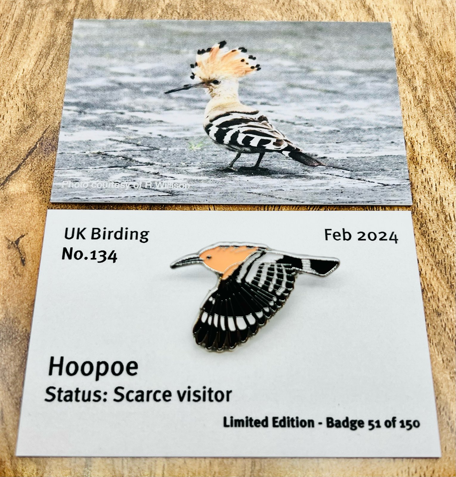 Hoopoe - No.134 - UK Birding Series | UK Birding Pins