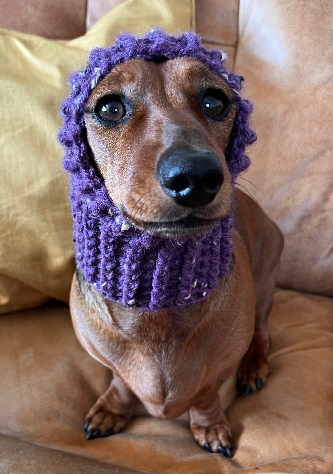 Dachshund Snood Crochet Pattern | Snazzy Sausage Dog Jumpers
