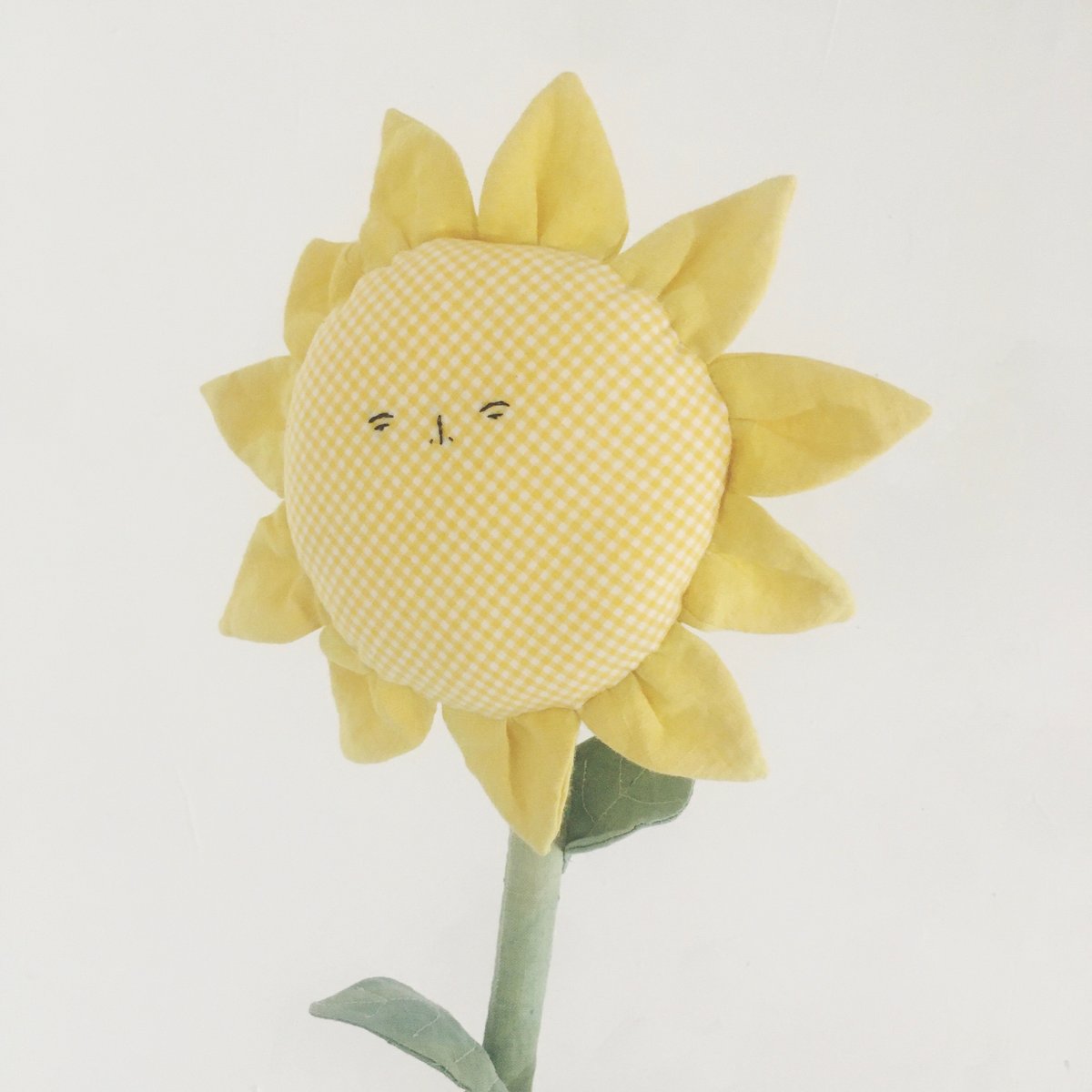 cocon sunflower / cocon