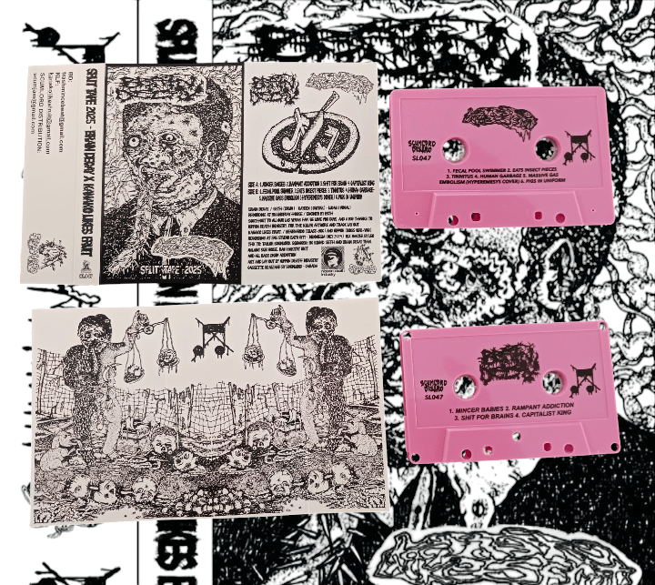 Kanako Likes Fruit / Brain Decay Split | Scum Lord Records