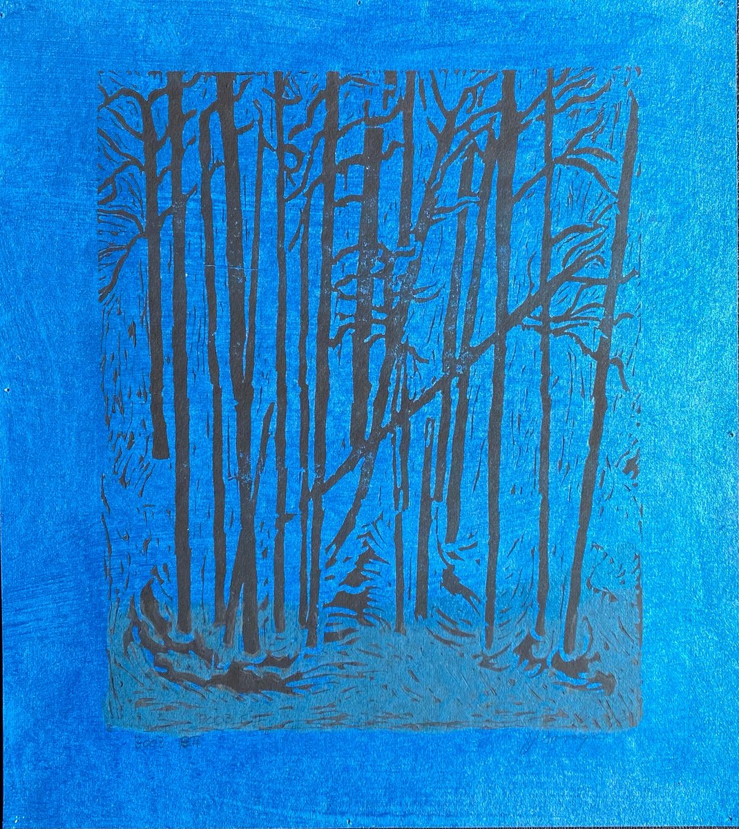 Forest | Martha Savage Studio Gallery