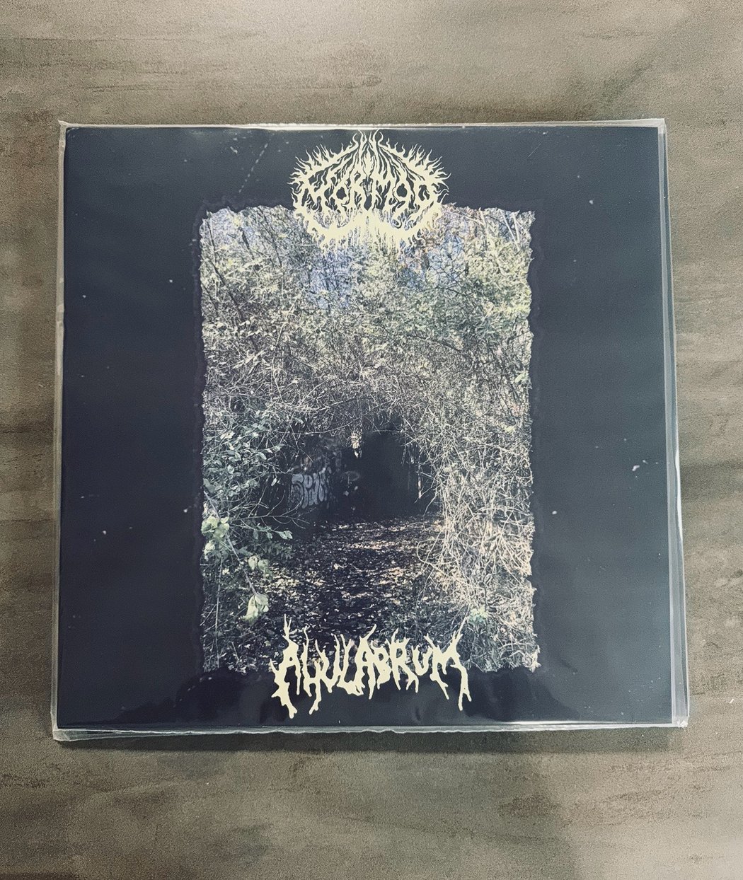 MÖRMOO/ AHULABRUM SPLIT LP | Asylum Tenebris