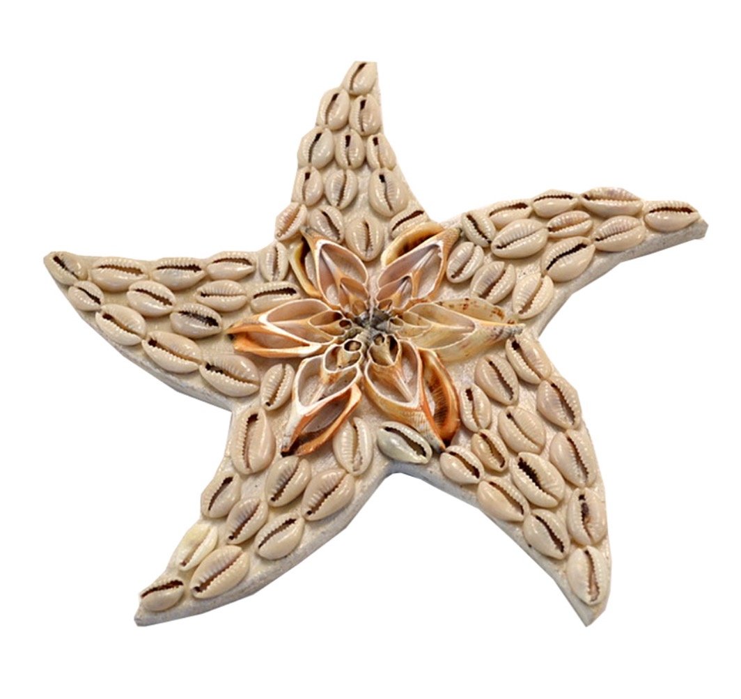 Shell Decor | Three Angels Broome - Western Australia - 100% Natural ...