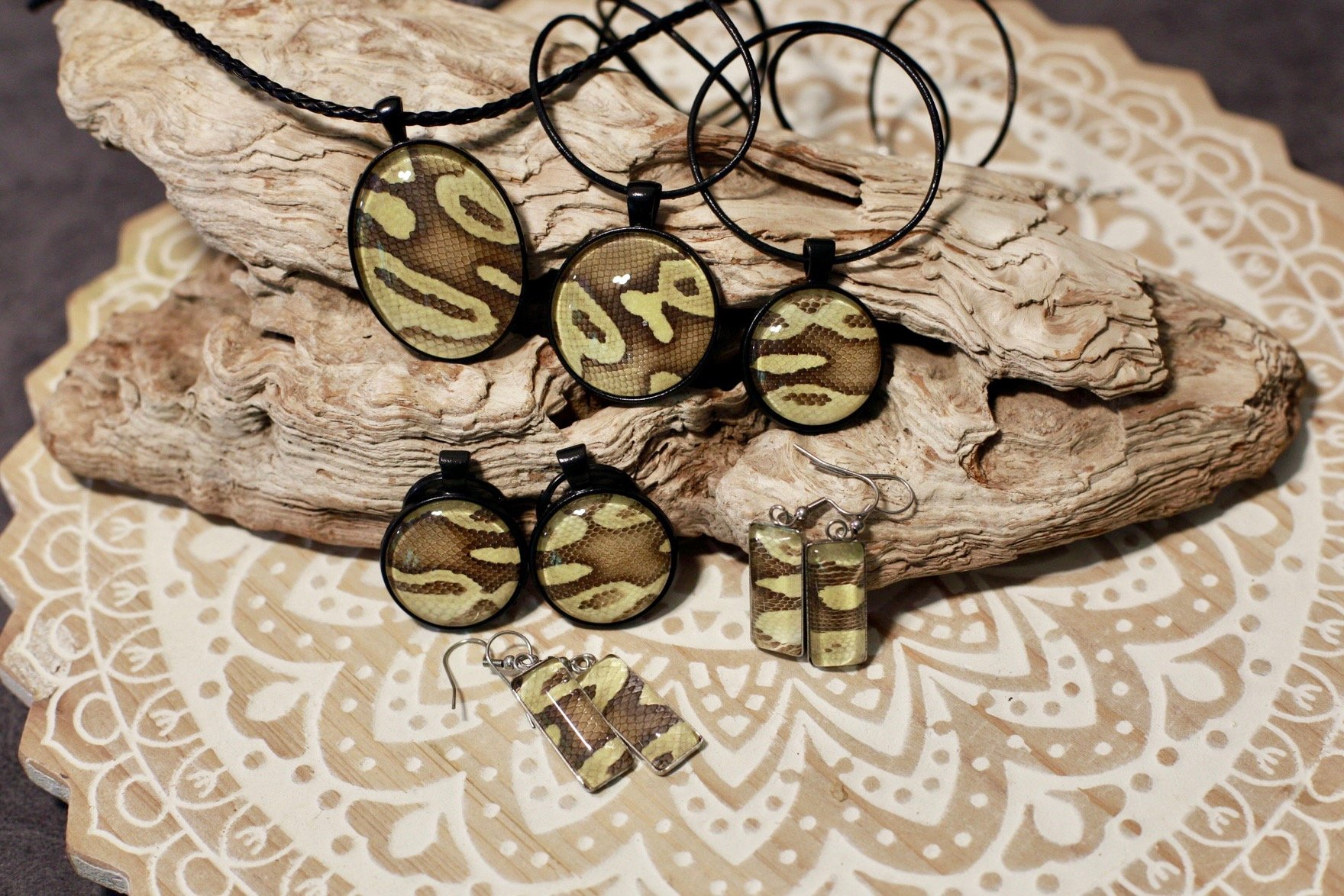 TOMSIMAGINATION — Ball Python Collection