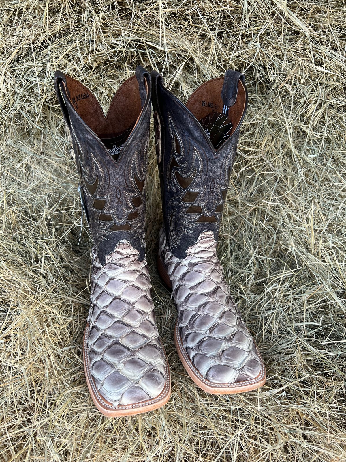 Men’s Big Bass Safari Matte Bicolor Fish Scale Boot | El Zacatecas ...