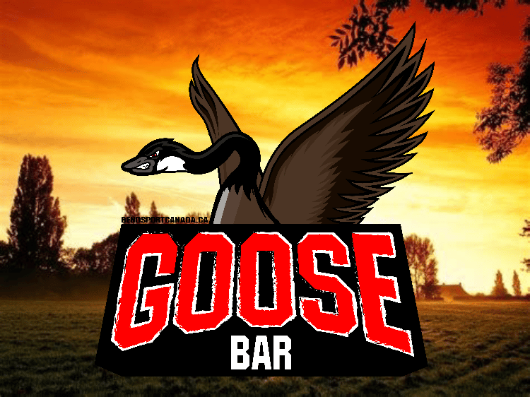 Goose Bar (Pack of 5) | Bend Sport Canada