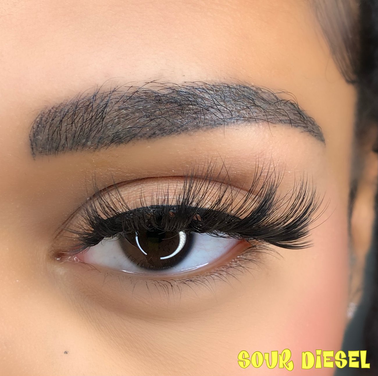 Home | Lash Kush Cosmetics
