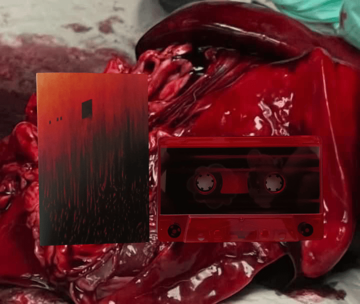 Borboropsis - Decorticated Burial of Delirium | Scum Lord Records