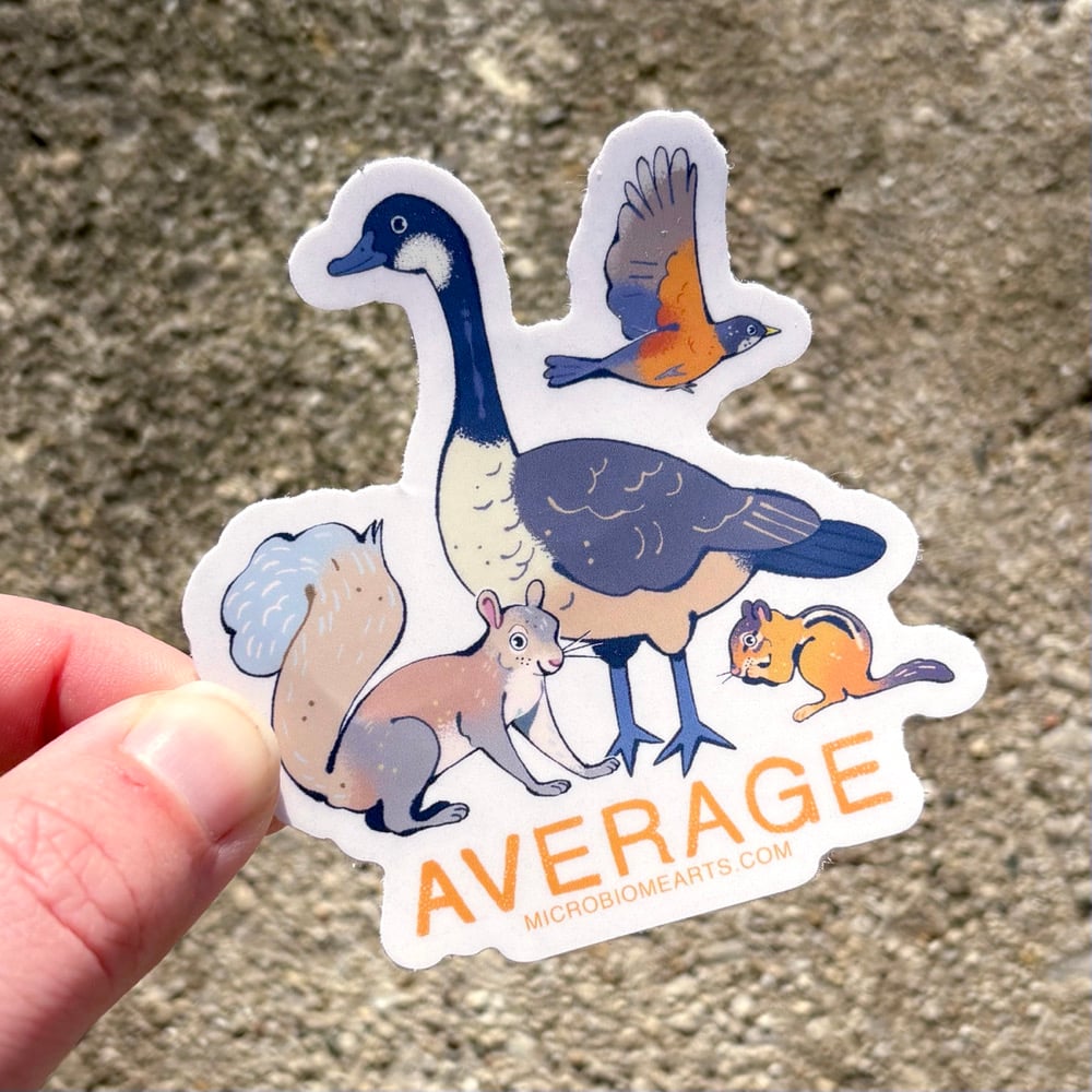 AVERAGE Animals 3” Sticker | Microbiome Arts