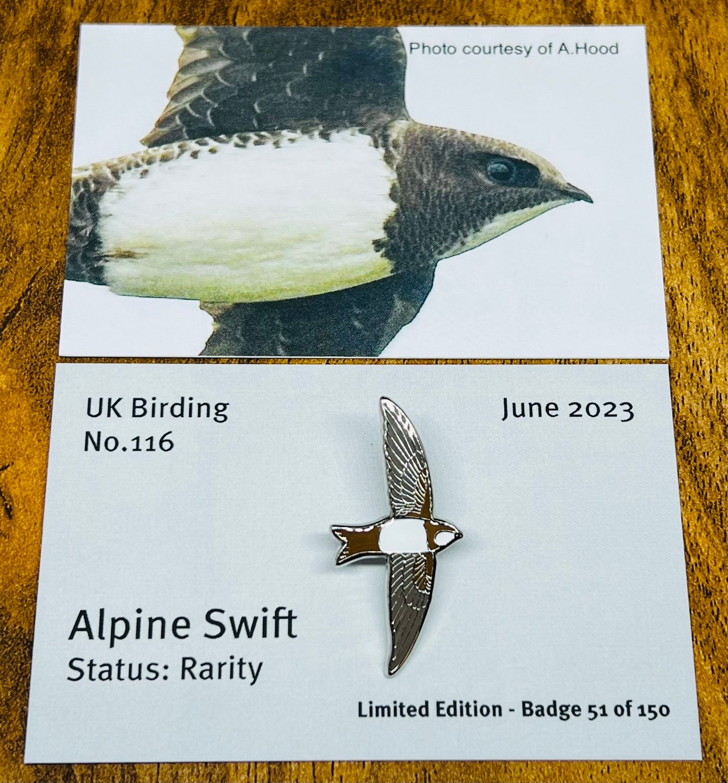 Alpine Swift - No.116 - UK Birding Pins - Enamel Pin Badge | UK Birding ...