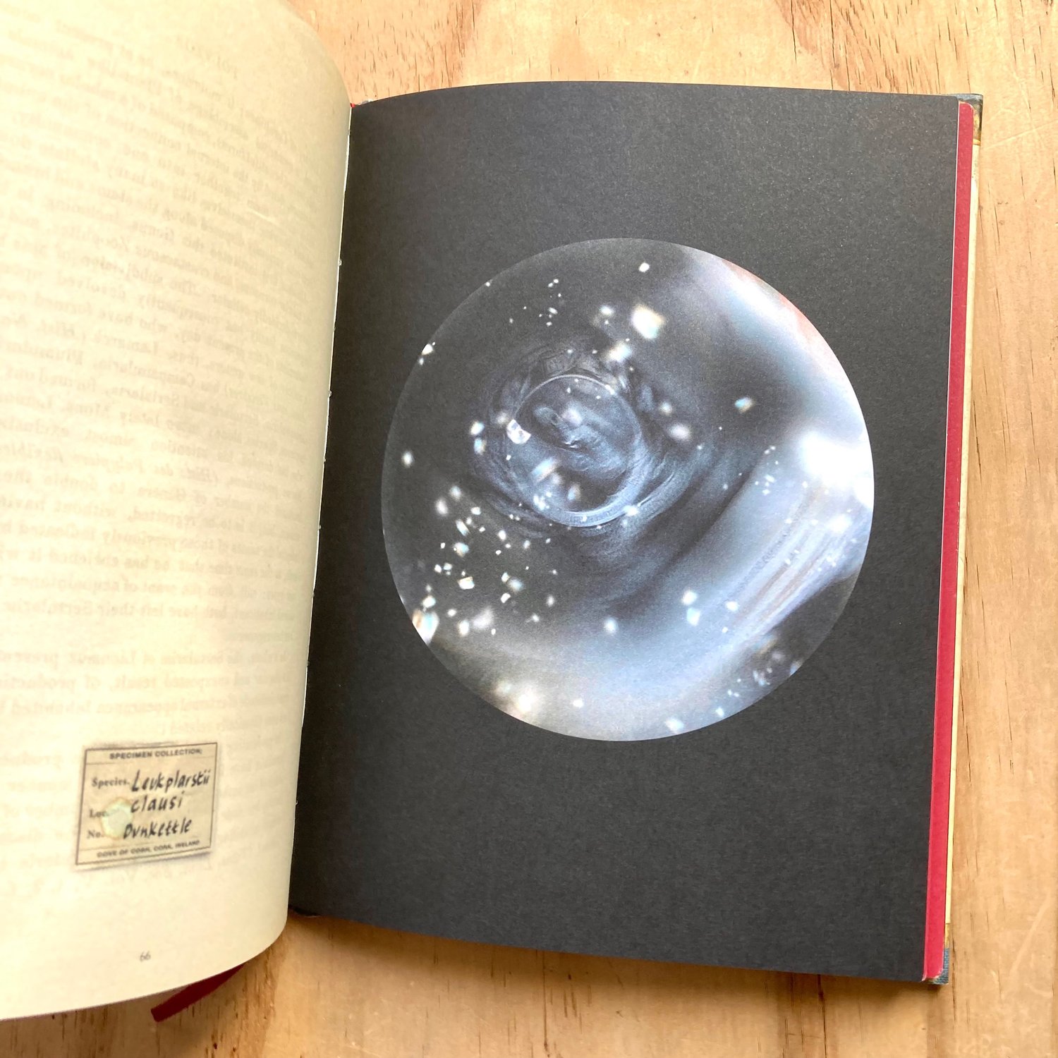 Mandy Barker - Beyond Drifting | Photobook Junkies