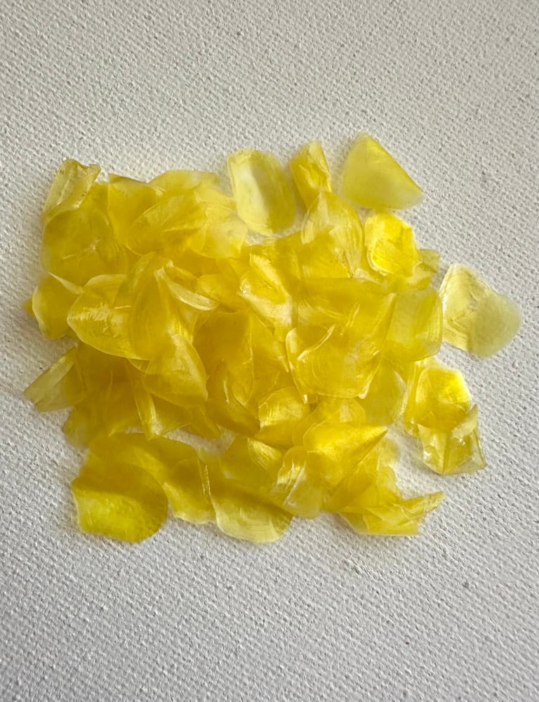 Dyed fish scales - Yellow | Teal Fawn Designs