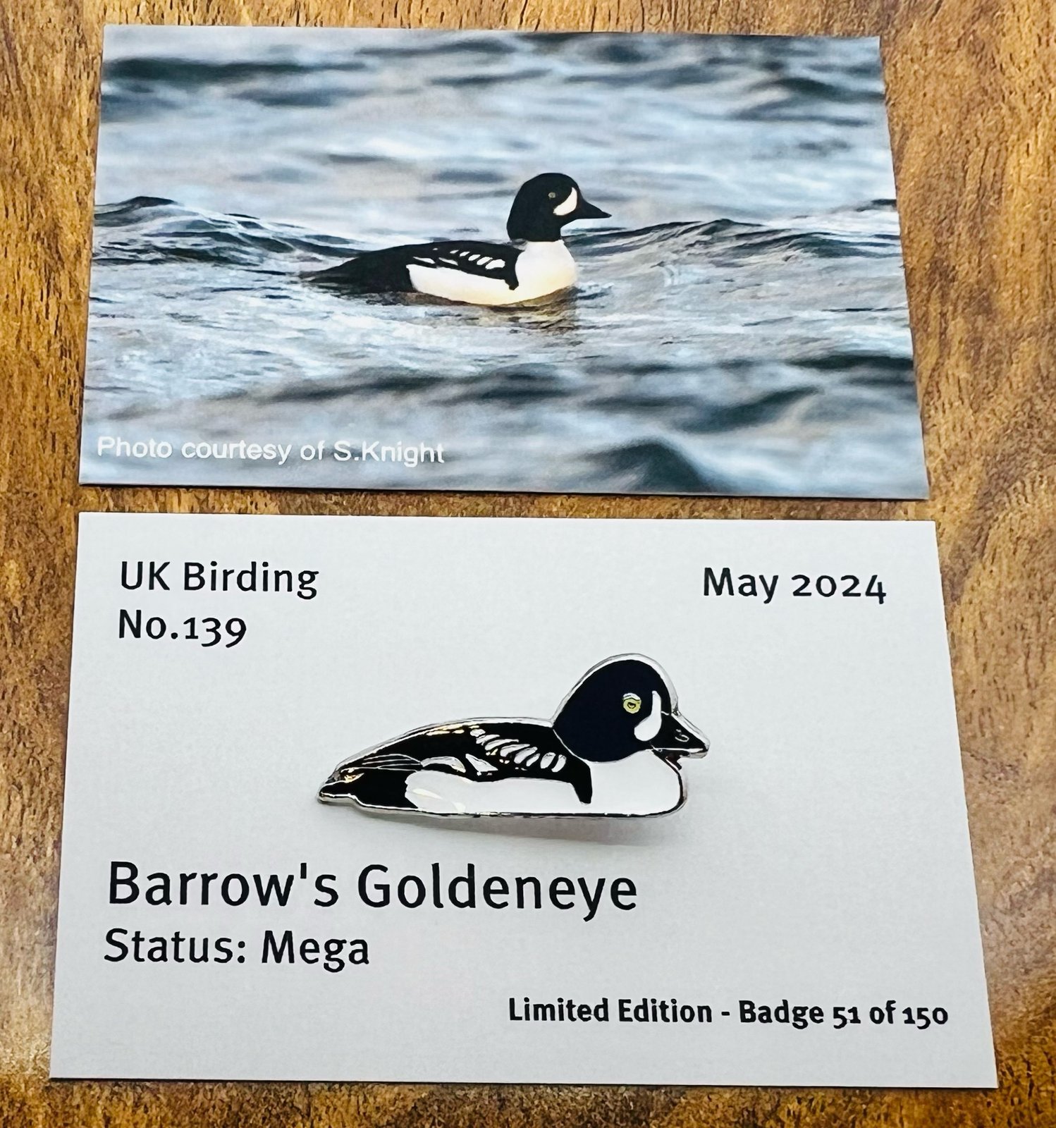 Barrow's Goldeneye - No.139 - UK Birding Pins | UK Birding Pins