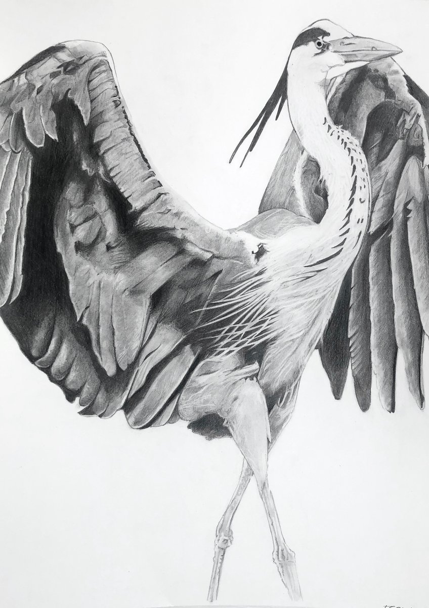 Local series 3 | Visual Artist Emma Grice