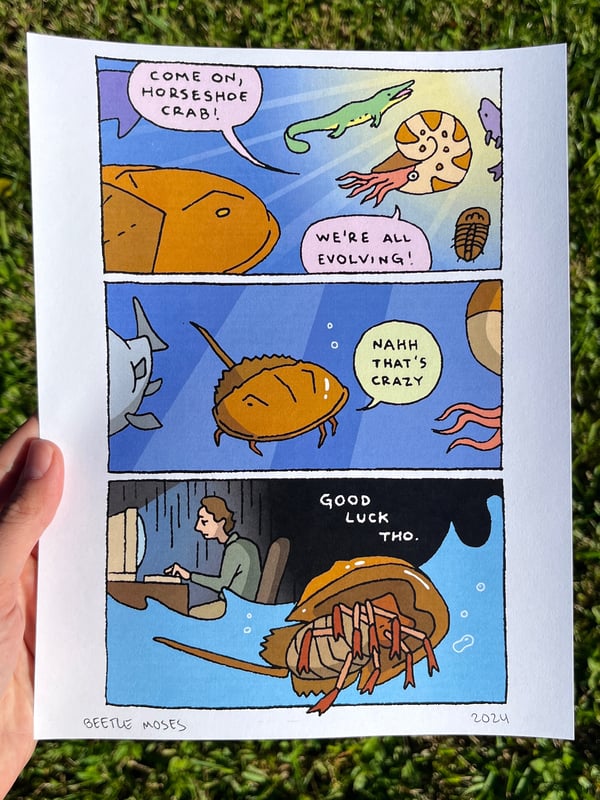 Home | Beetle Moses