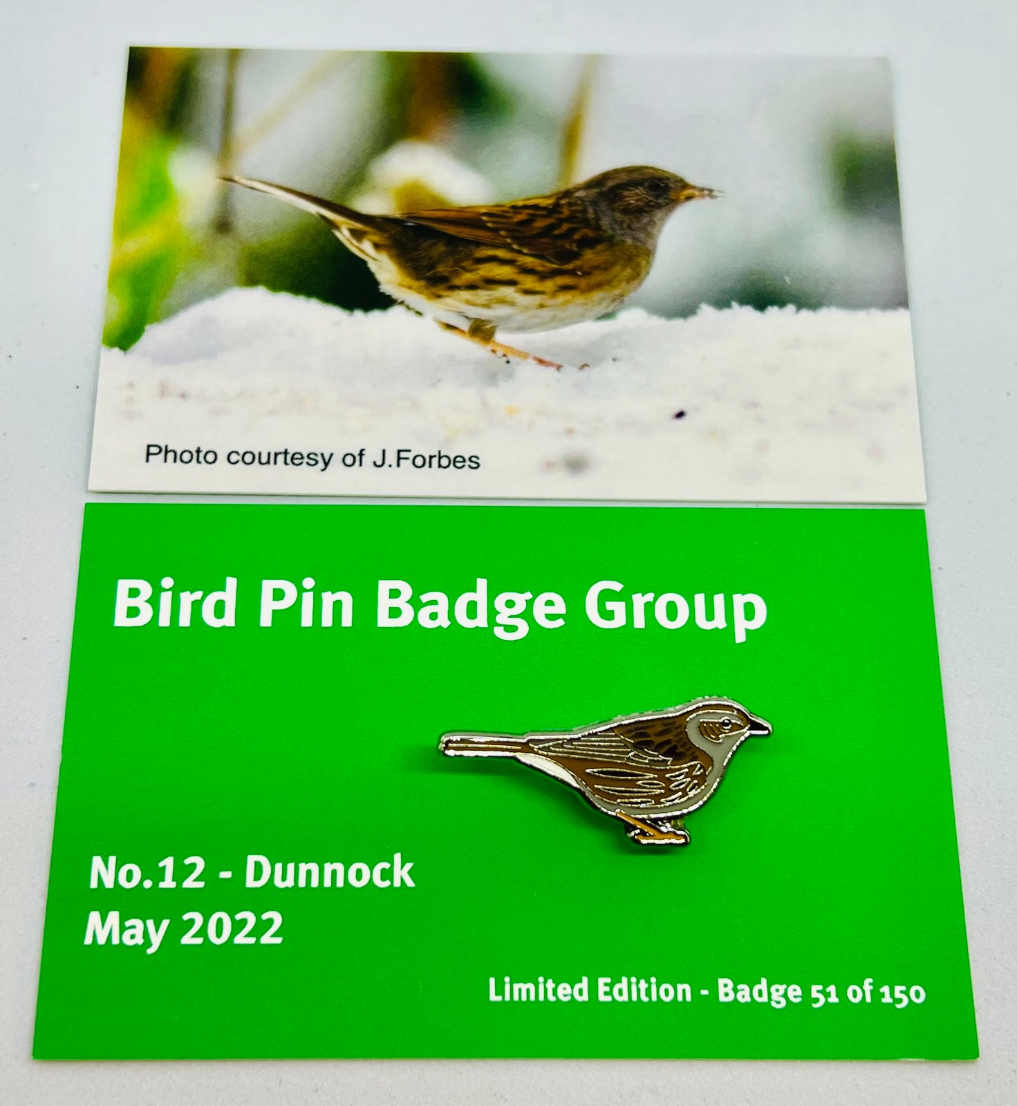 Dunnock - No.12 Bird Pin Badge Group - Enamel Pin Badge | UK Birding Pins
