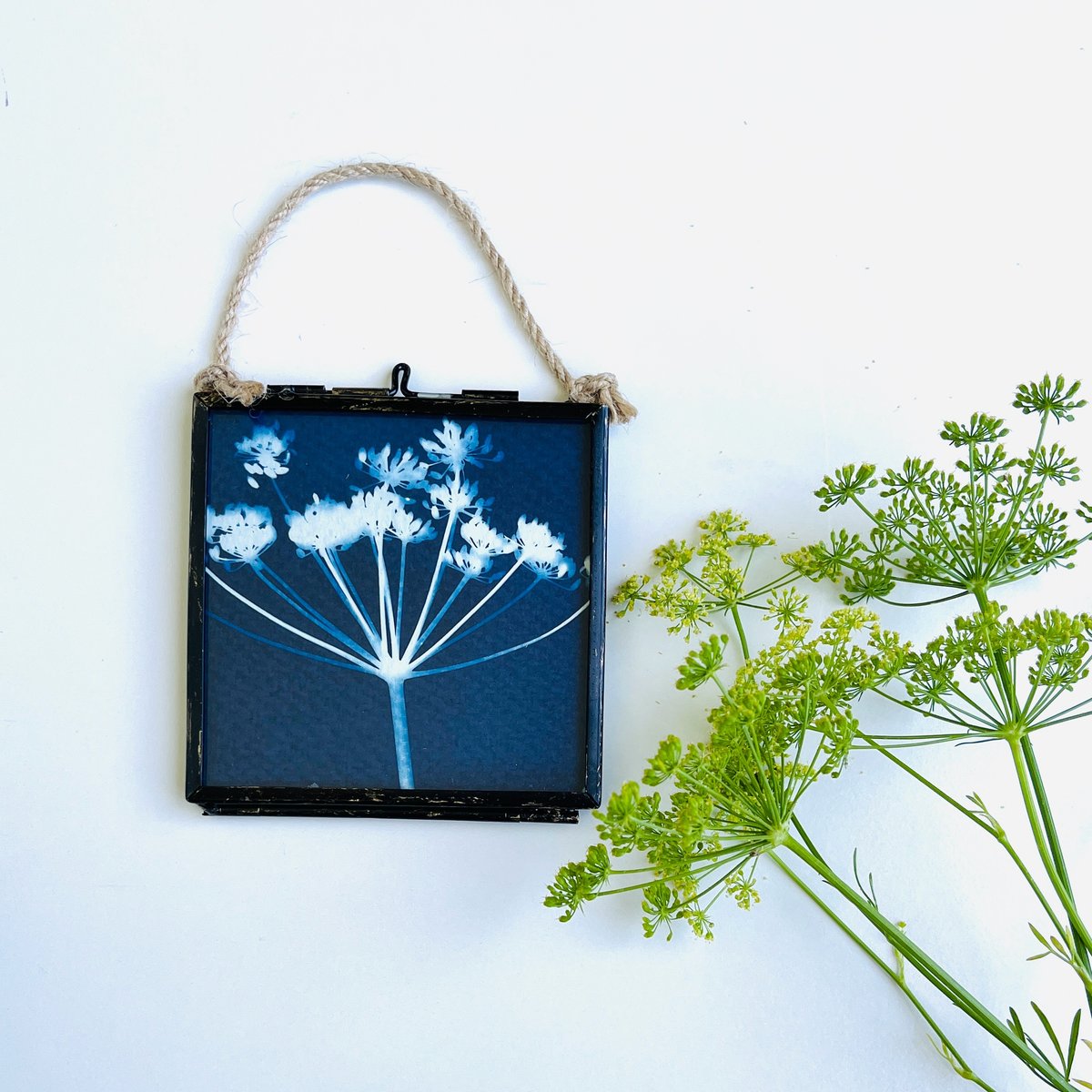 Wish - Mini Framed Cyanotype | My Little Print Studio