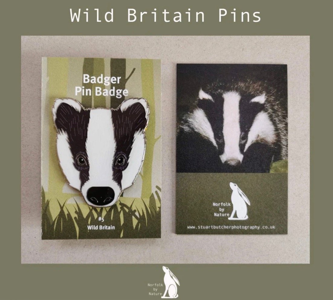 Badger - #5 - Wild Britain Series | UK Birding Pins