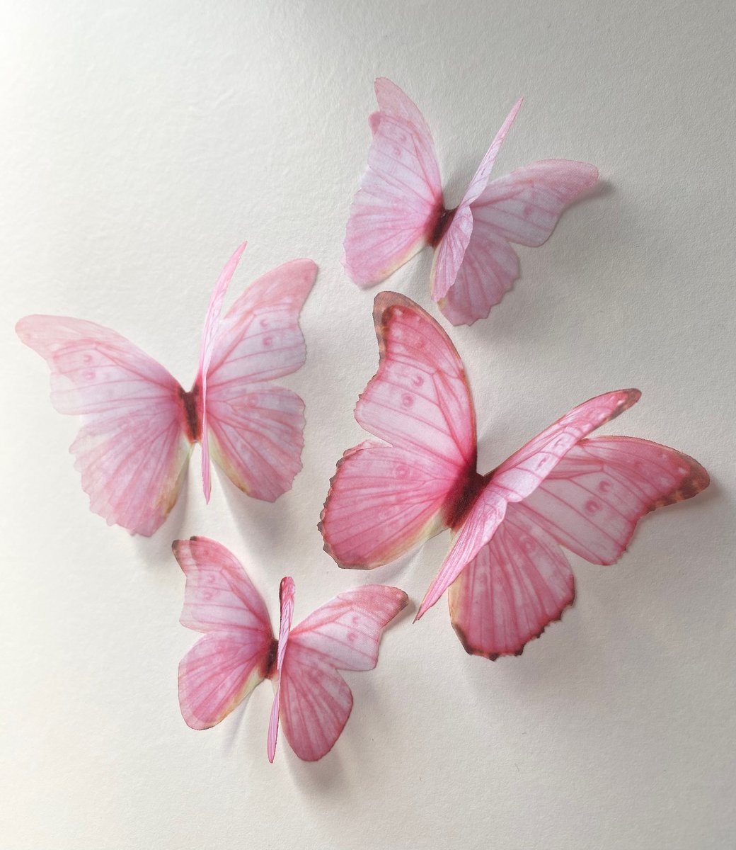 Cherry pink (set of 4) | Peony Pixies
