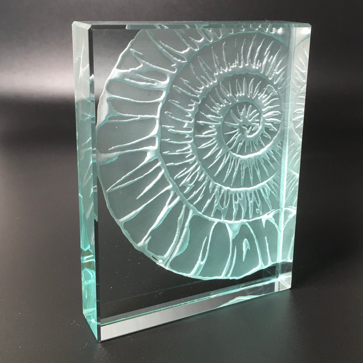 Ammonite Glass Block | Bex by Design