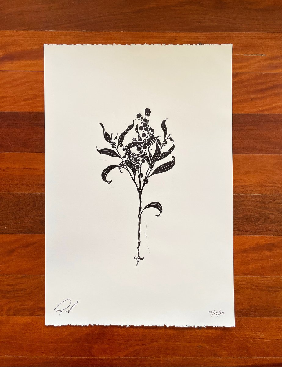 Wattle Sprig | Riley Prints