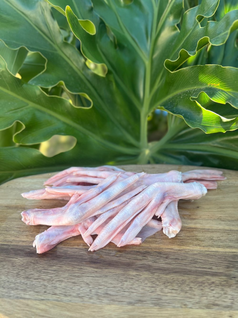 Duck Feet | Healthy Paws