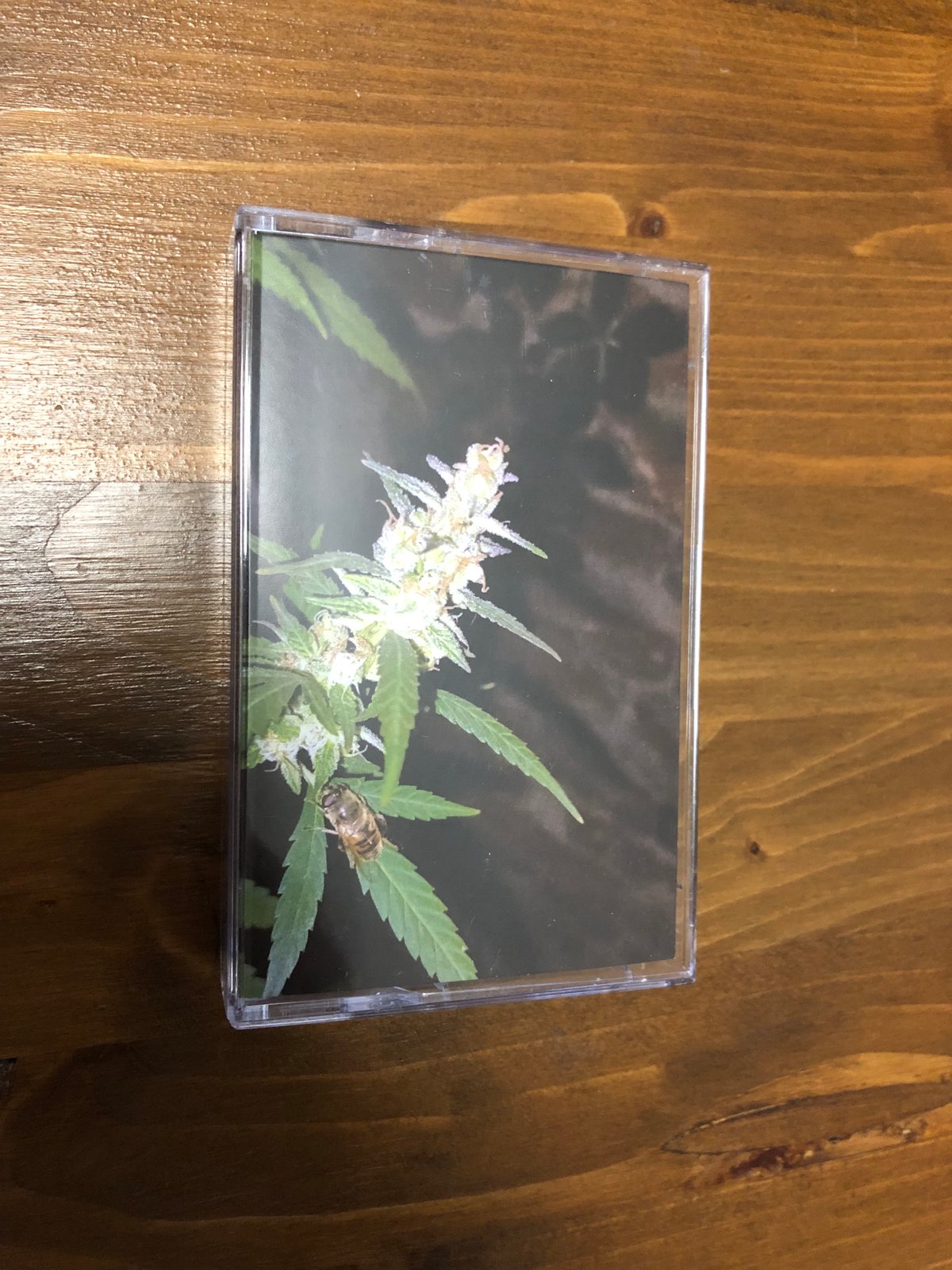 Michiu - Keep The Guitar (2023, Beach Buddies) MC | Stoned to Death Tapes