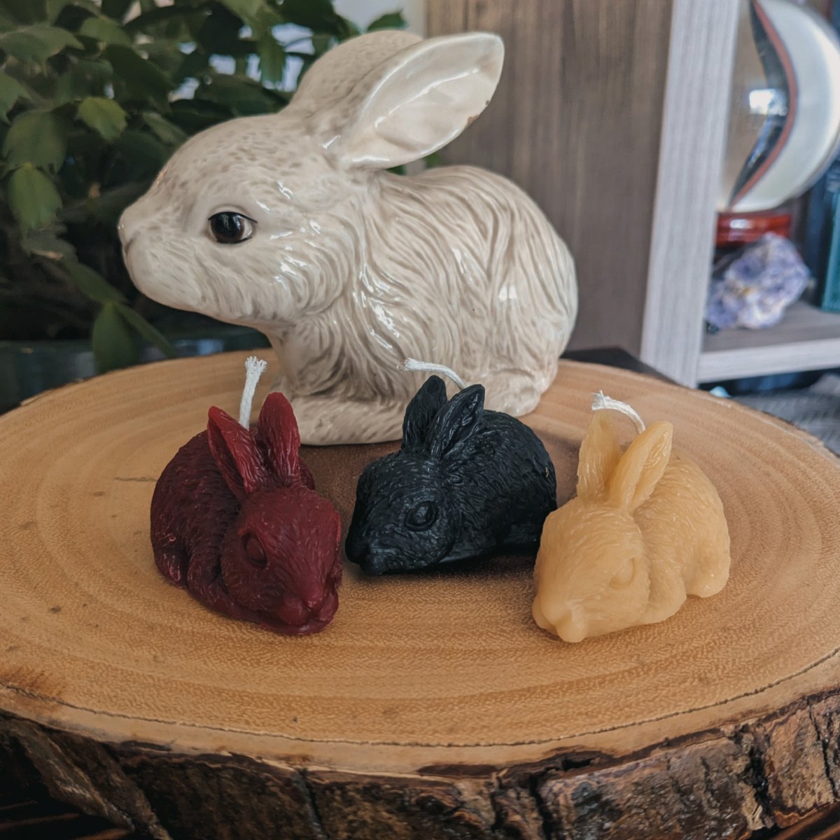 Rabbit Candle | thegriefwitch