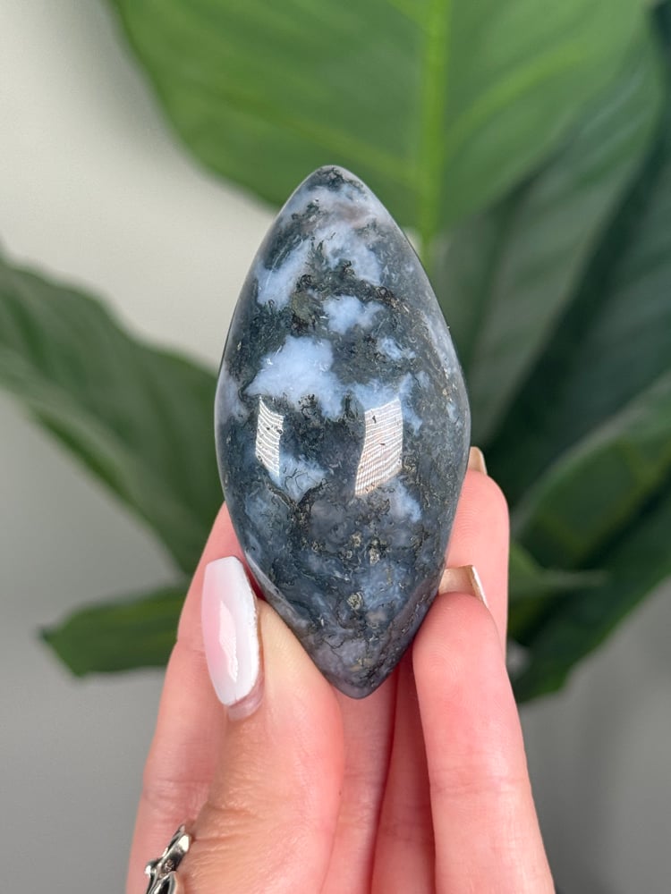 MOSS AGATE RICE SHIVAS (1) | thewitchespitstop