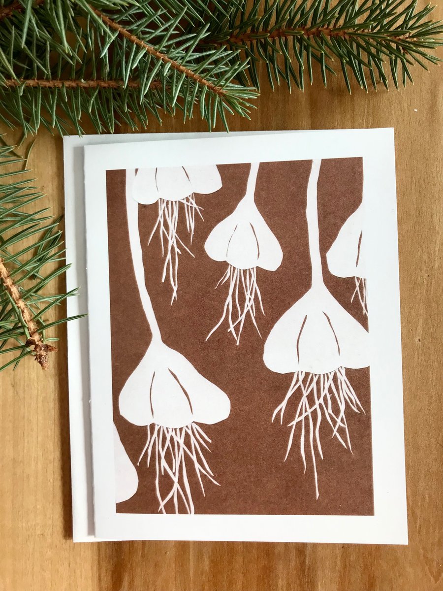 Garlic Greeting Card | Zoe Klosterwill