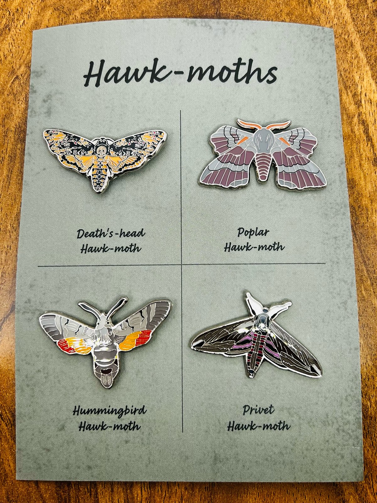 Hawk-moths Set 5-8 - Enamel Pin Badges | UK Birding Pins