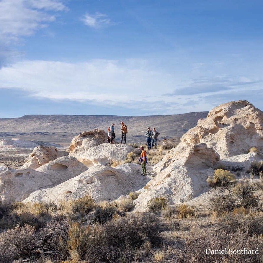 Products | Alison Jean Cole