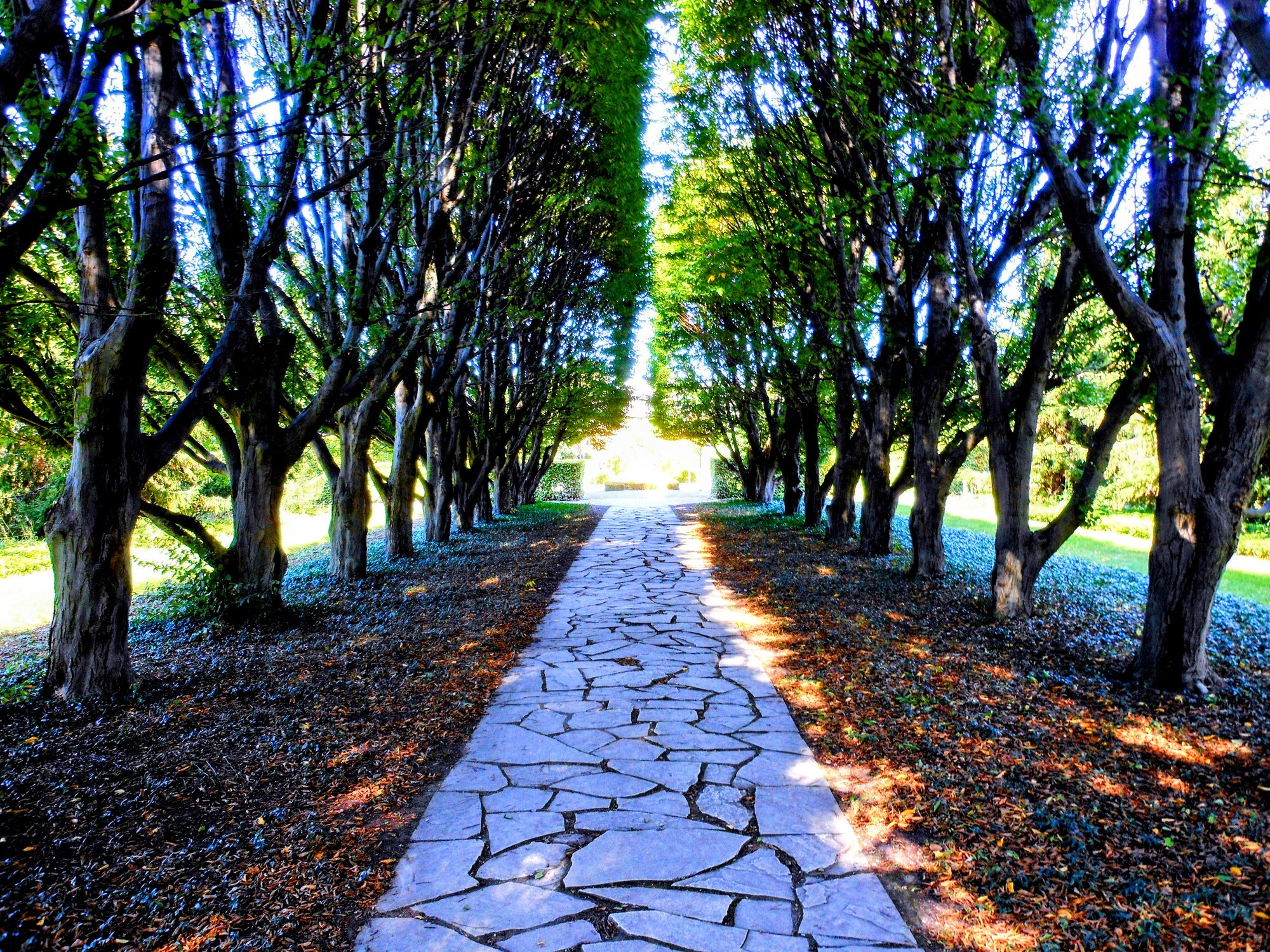 Home | The Neighbour's Garden