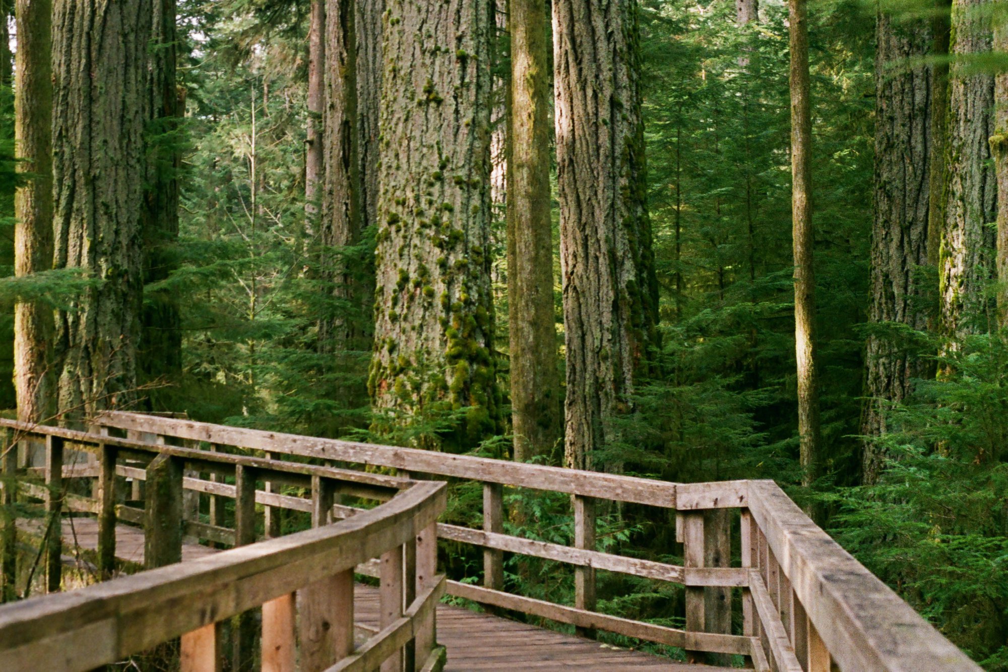 Home | The Boonies Magazine