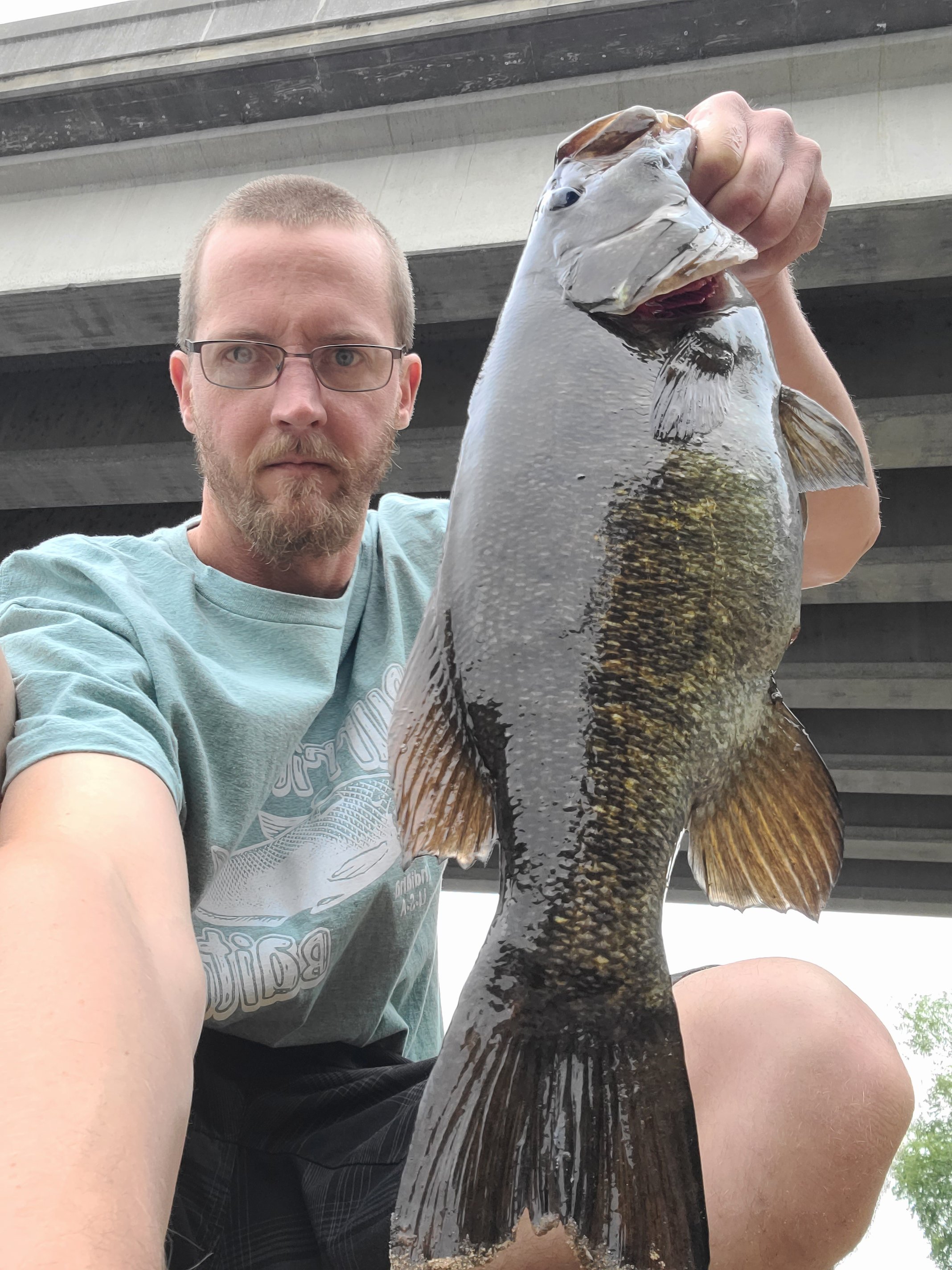 Oxbow Swimbaits
