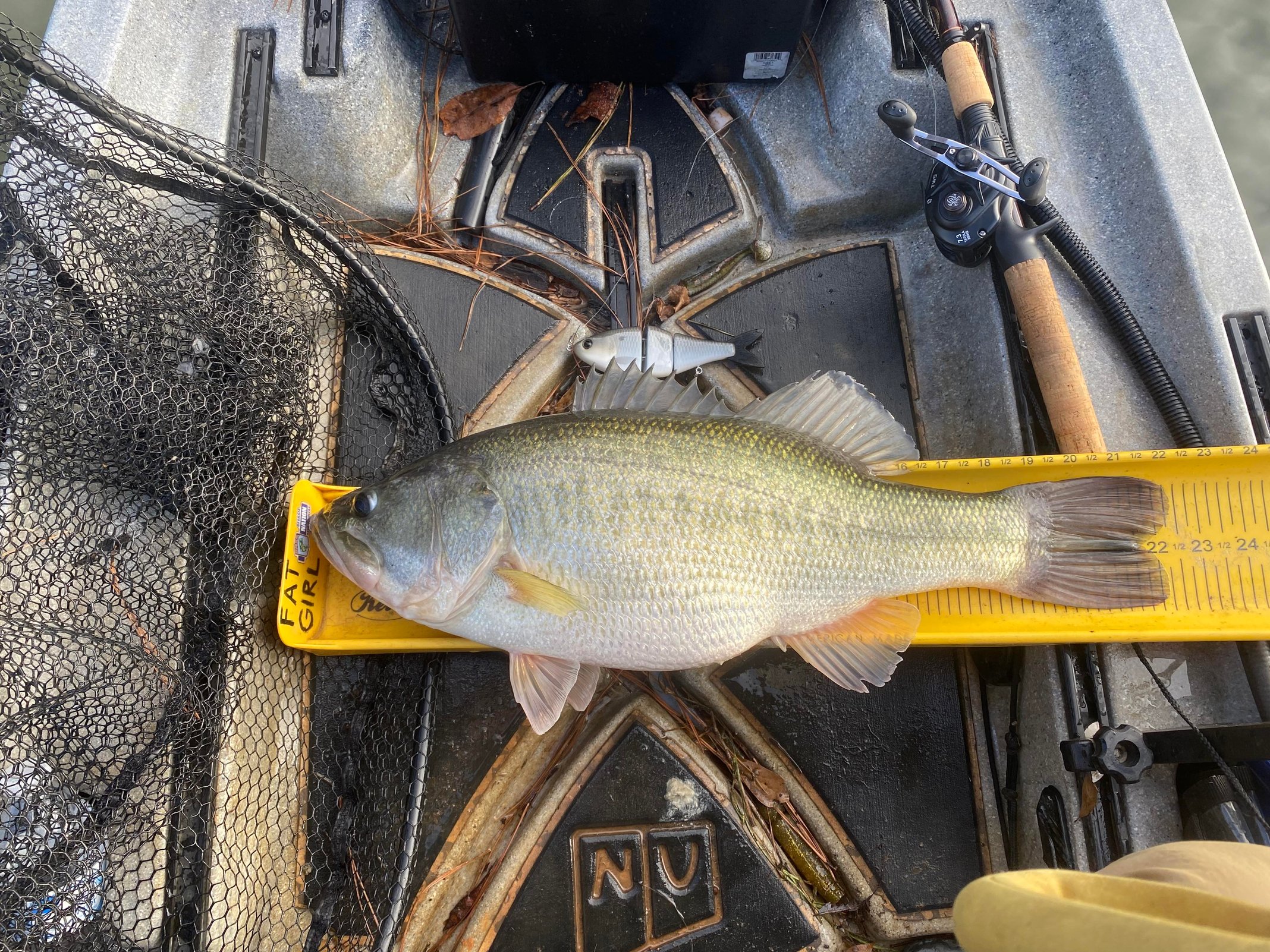 Oxbow Swimbaits