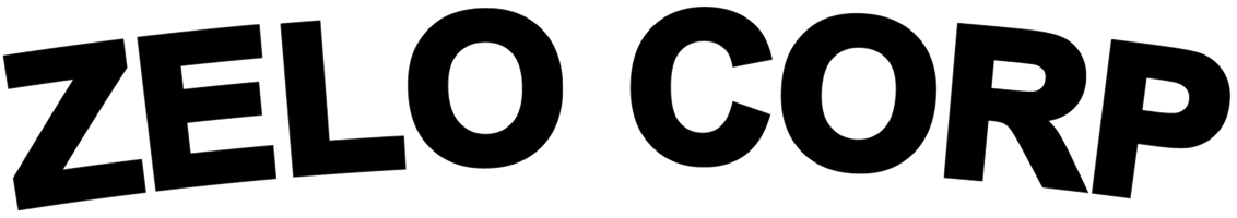 HOME | ZELO CORP
