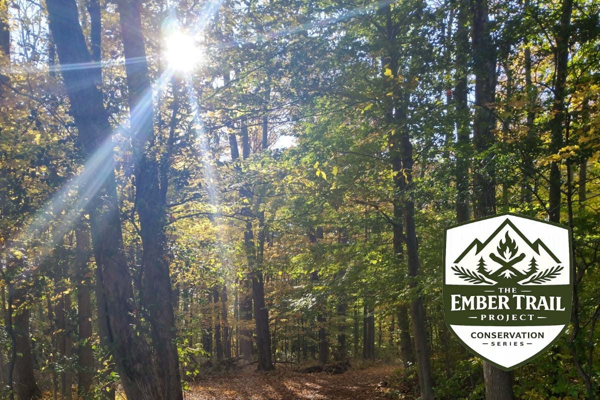 Ember Trail Project | Outdoor Healing & Resilience Community