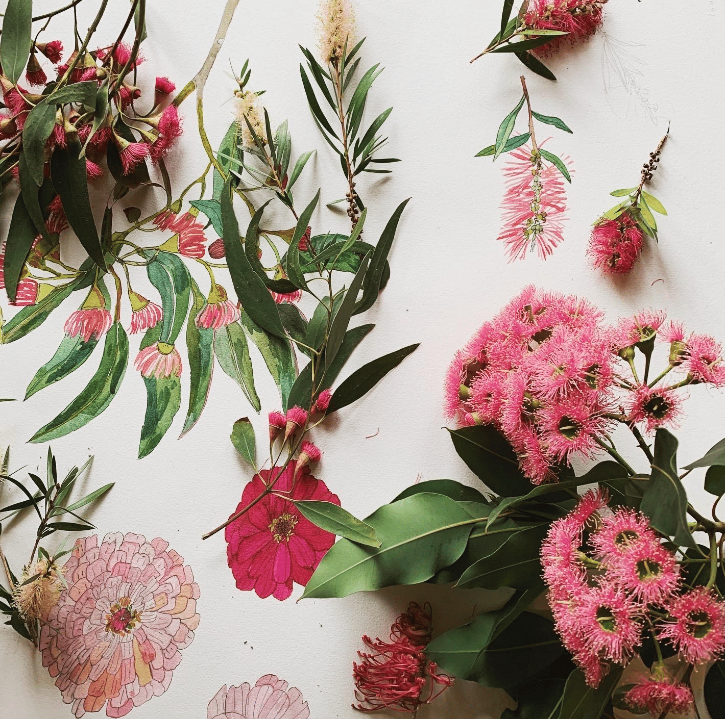 Home | clairemosley