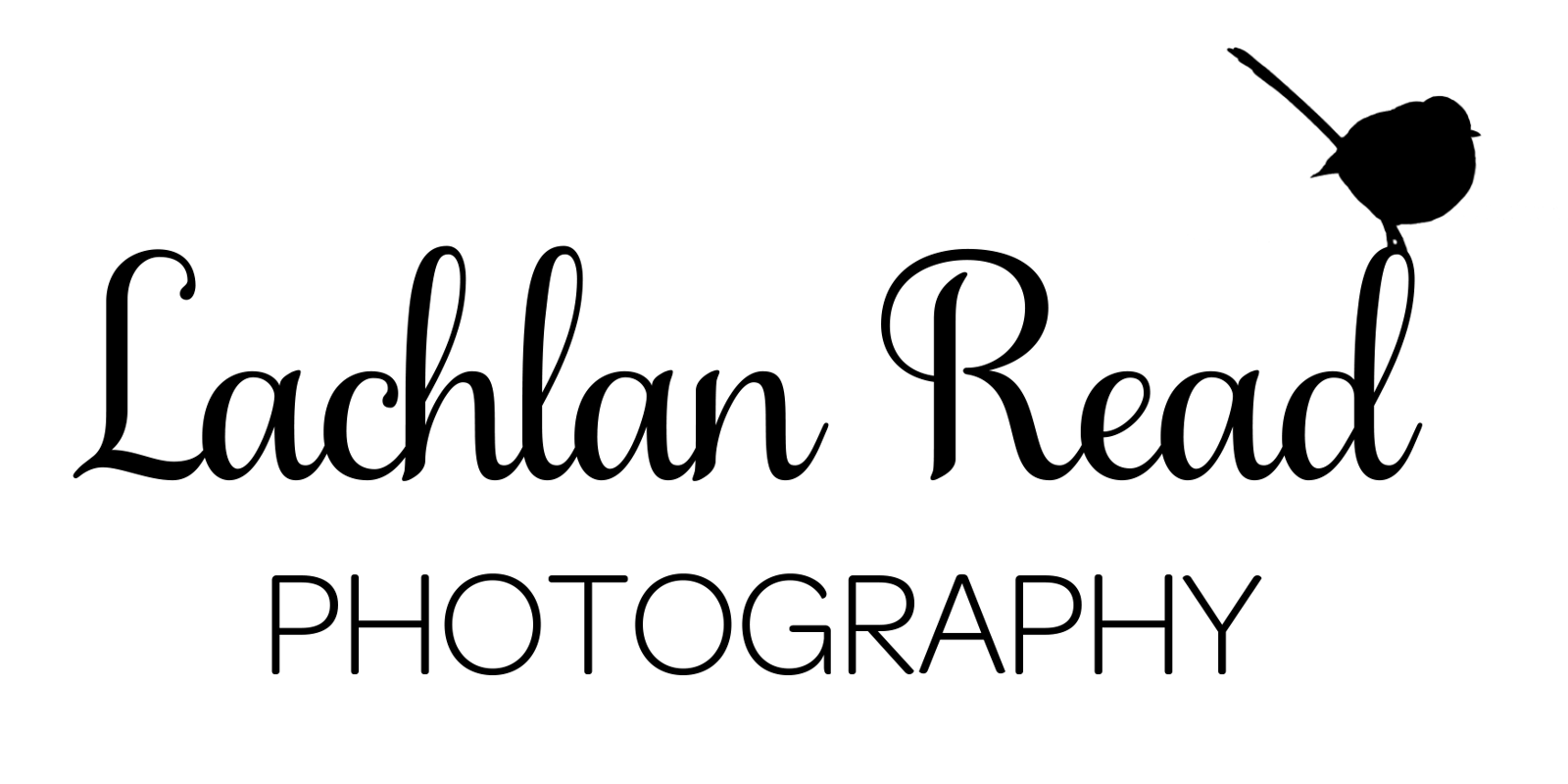 About the Photographer | Lachlan Read