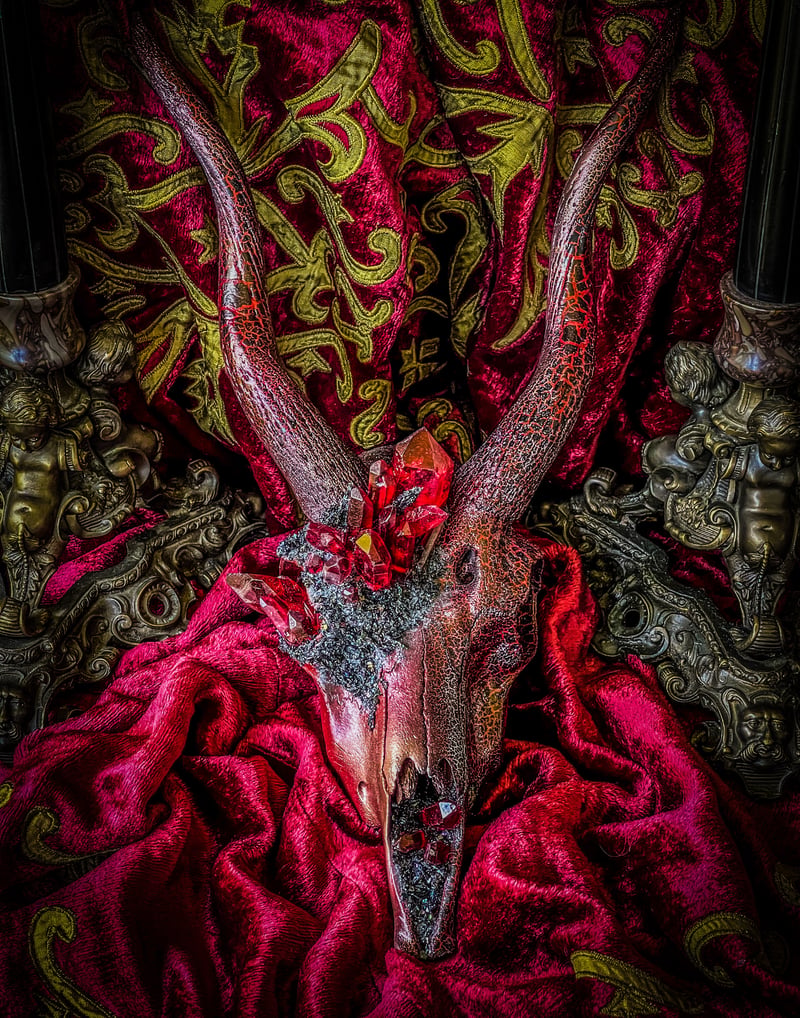 Madame Macabre’s House of Curiosities